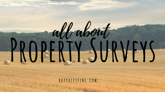 All About Property Surveys